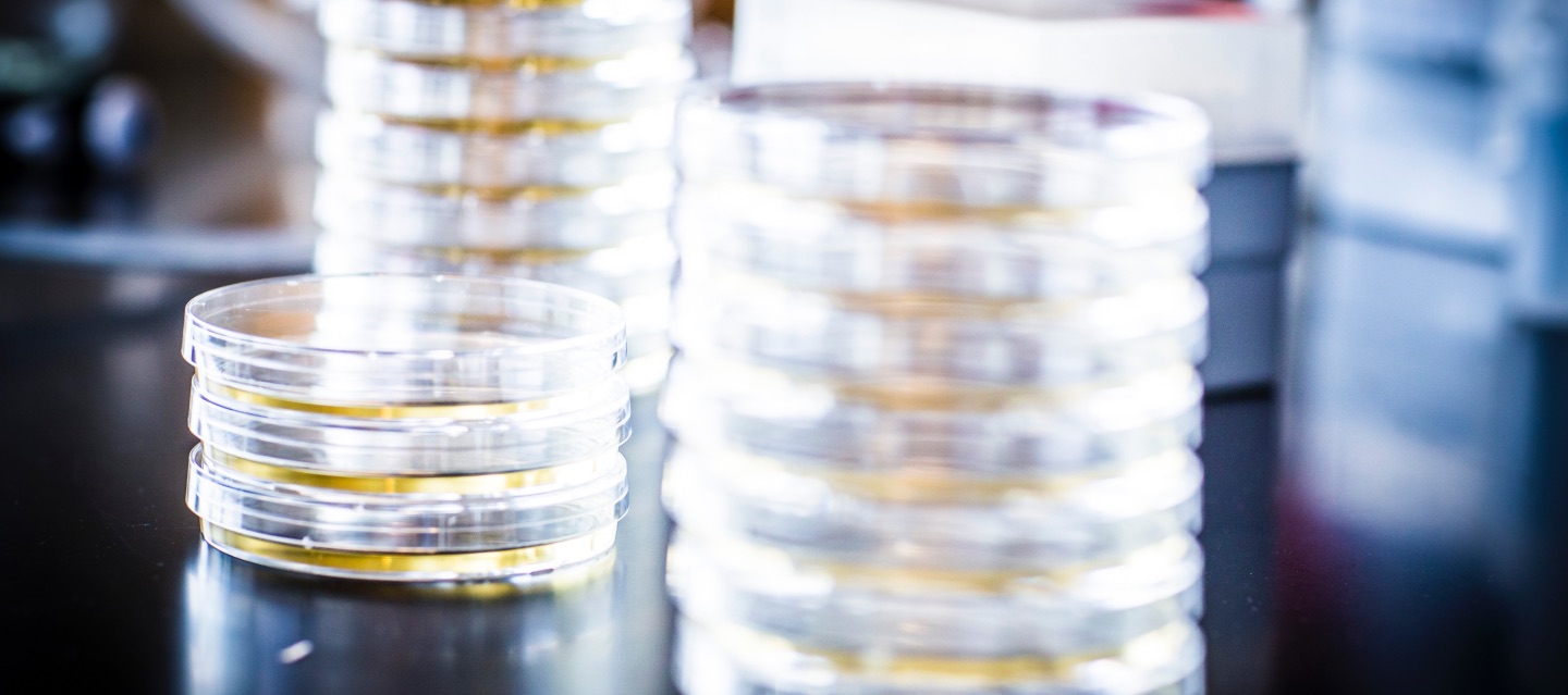 Home - Emory Alliance for Vaccine Epidemiology