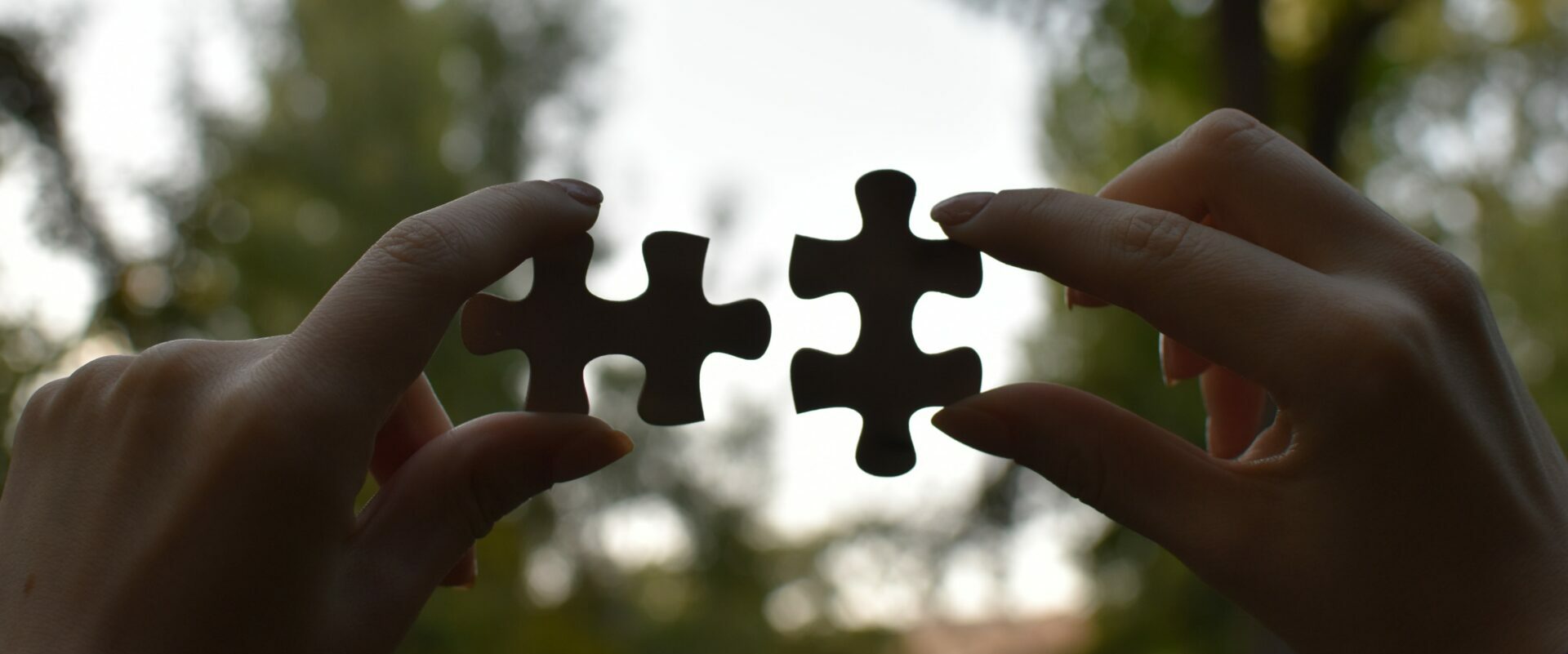 Partners - Emory Alliance for Vaccine Epidemiology